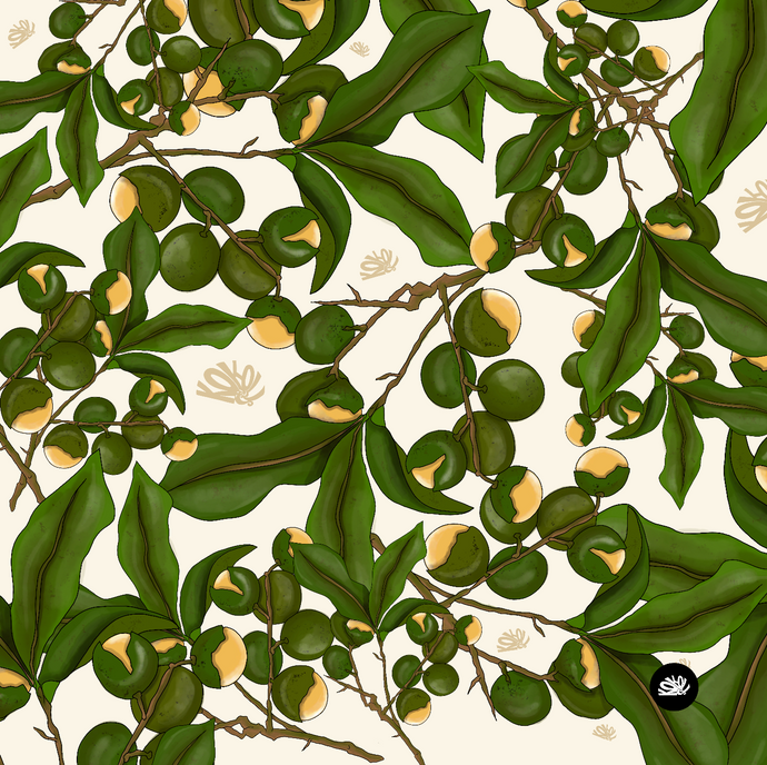 Kokolishi – Kokolishi Official